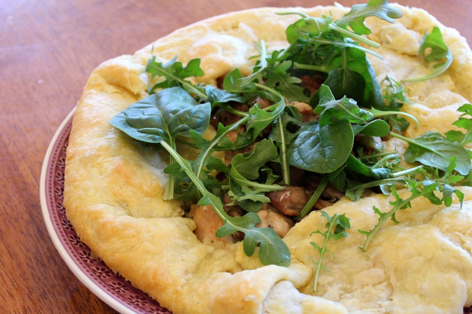 Chicken and Mushroom Rustic Pie – Karen Really Likes Food